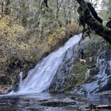 Alsea Falls and Green Peak Falls, Oregon - 1,004 Reviews, Map | AllTrails