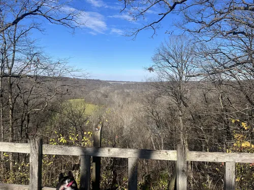 Best Forest Trails in Oregonia | AllTrails