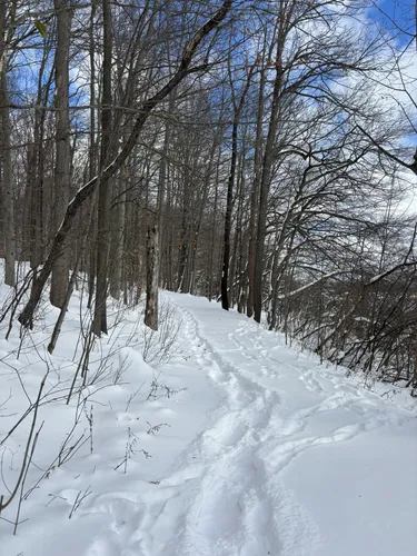 Best Hikes and Trails in Knox Farm State Park | AllTrails