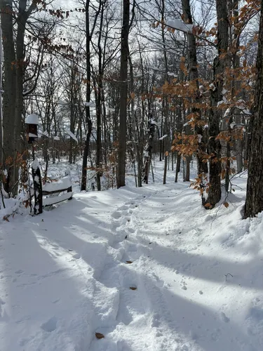 Best Hikes and Trails in Knox Farm State Park | AllTrails
