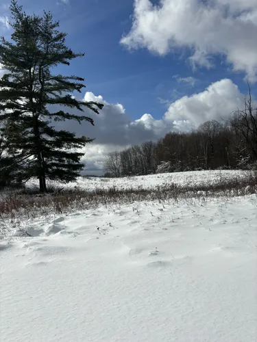 Best Hikes and Trails in Knox Farm State Park | AllTrails