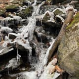 Cascade Falls Loop Trail, Massachusetts - 821 Reviews, Map | AllTrails