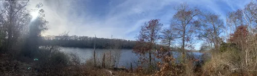 Best Hikes and Trails in Simmons Mill Pond Management area | AllTrails