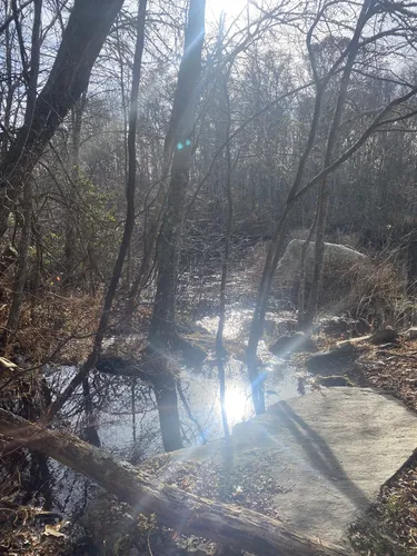 Best Hikes and Trails in Simmons Mill Pond Management area | AllTrails