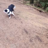 Riverhead Forest Loop Track, Auckland, New Zealand - 65 Reviews, Map ...