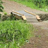 Riverhead Forest Loop Track, Auckland, New Zealand - 65 Reviews, Map ...