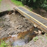 Riverhead Forest Loop Track, Auckland, New Zealand - 65 Reviews, Map ...