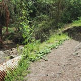 Riverhead Forest Loop Track, Auckland, New Zealand - 65 Reviews, Map ...