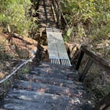 Torreya Trail, Florida - 438 Reviews, Map | AllTrails