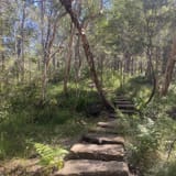 Jack Ferris Lookout via Trachyte Circuit, Queensland, Australia - 363 ...