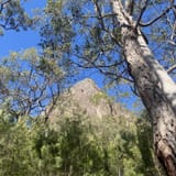 Jack Ferris Lookout via Trachyte Circuit, Queensland, Australia - 363 ...
