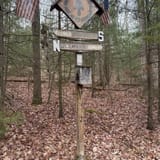 Sunset Rocks Trail, Pennsylvania - 1,038 Reviews, Map | AllTrails