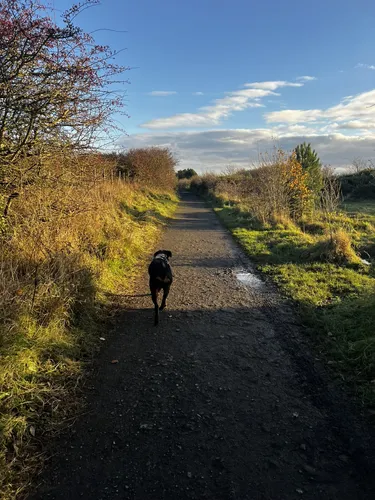 Best Hikes and Trails in Blackhall Rocks | AllTrails