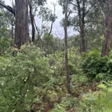 Cardinia Aqueduct Trail, Victoria, Australia - 274 Reviews, Map | AllTrails