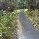 Cardinia Aqueduct Trail, Victoria, Australia - 274 Reviews, Map | AllTrails