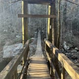 Edward's Point Trail, Tennessee - 2,375 Reviews, Map | AllTrails