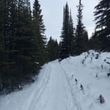 Bow Summit Viewpoint, Alberta, Canada - 737 Reviews, Map | AllTrails