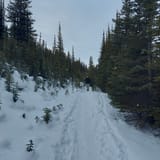 Bow Summit Viewpoint, Alberta, Canada - 737 Reviews, Map | AllTrails