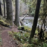 Barnes Creek Trail, Washington - 77 Reviews, Map | AllTrails