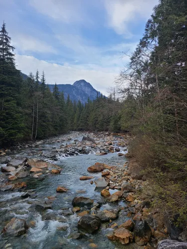 Best Dog-friendly Trails in Golden Ears Provincial Park | AllTrails