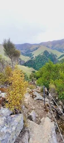Best Hikes and Trails in Mount Nimrod Scenic Reserve | AllTrails