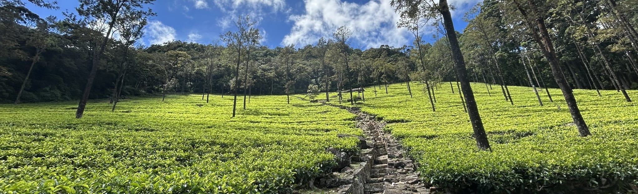 The Pekoe Trail Stage 02: Galaha To Loolkandura, Kandy, Sri Lanka - 16 ...