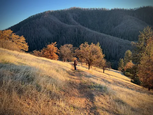 Best Hikes and Trails in Tunnel Ridge Recreation Site | AllTrails