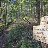 Larch Mountain Trail, Oregon - 719 Reviews, Map | AllTrails