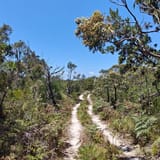 Tomaree Coastal Walk, New South Wales, Australia - 88 Reviews, Map ...