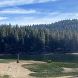 Jenkinson Lake Loop, California - 2,450 Reviews, Map | AllTrails