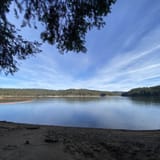 Jenkinson Lake Loop, California - 2,450 Reviews, Map | AllTrails