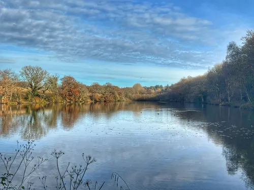 Best Hikes and Trails in Ashdown Forest | AllTrails