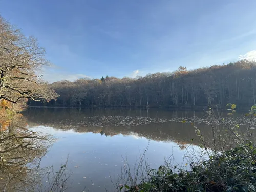 Best Hikes and Trails in Ashdown Forest | AllTrails