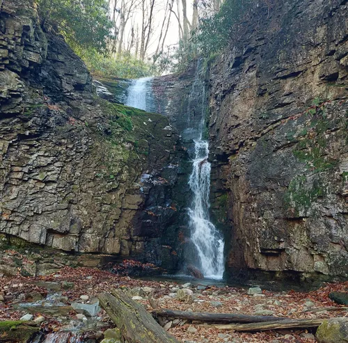 2023 Best Bird Watching Trails in Unaka Mountain Wilderness | AllTrails