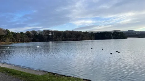 Best Hikes and Trails in Talkin Tarn Country Park | AllTrails