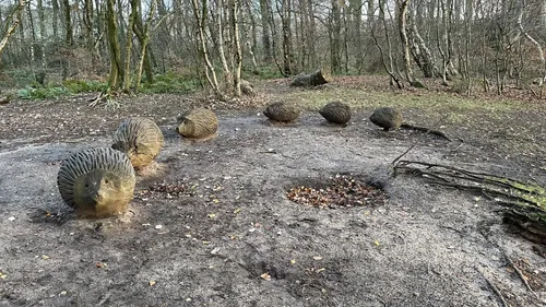 Best Hikes and Trails in Talkin Tarn Country Park | AllTrails