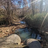 Ray Harral Nature Park, Oklahoma - 623 Reviews, Map | AllTrails