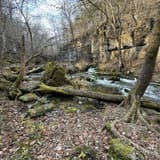 Greer Spring Trail, Missouri - 338 Reviews, Map | AllTrails