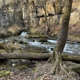 Greer Spring Trail, Missouri - 338 Reviews, Map | AllTrails