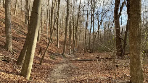 Best Hikes and Trails in Hinder Area | AllTrails