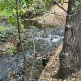 Johnson Springview Outer Loop, California - 369 Reviews, Map | AllTrails