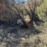 Geronimo's Cave, New Mexico - 374 Reviews, Map | AllTrails