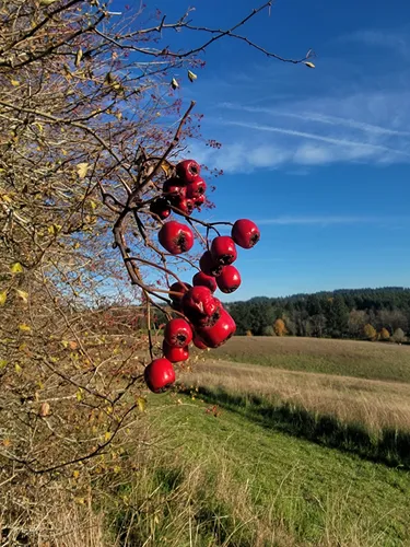 Best Hikes and Trails in Cooks Butte Park | AllTrails