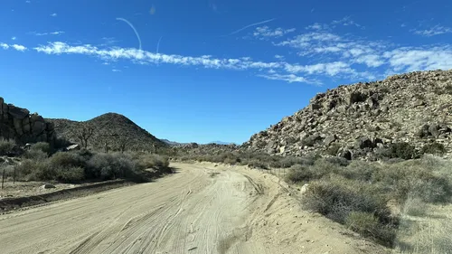 10 Best Off Road Driving Trails in Joshua Tree National Park | AllTrails