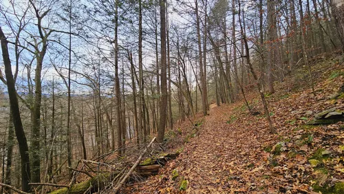 Best Hikes and Trails in Greenfield | AllTrails