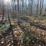 Mooween State Park Loop , Connecticut - 387 Reviews, Map | AllTrails