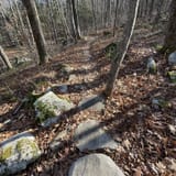 Mooween State Park Loop , Connecticut - 387 Reviews, Map | AllTrails