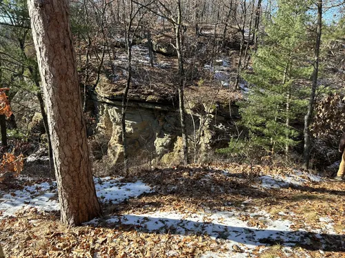 Best Hikes and Trails in Ridgeway Pine Relict State Natural Area ...