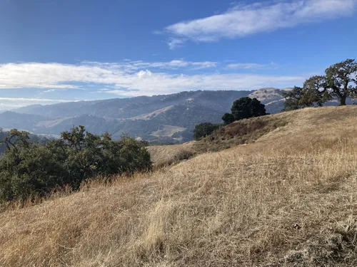 Best Camping Trails in Sunol Wilderness Regional Preserve | AllTrails