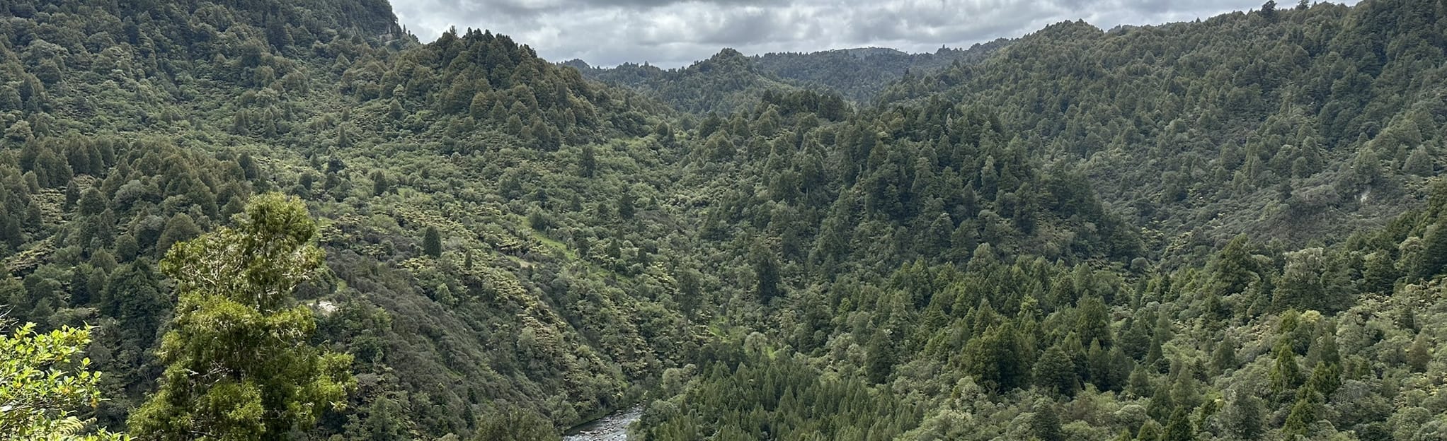 42 Traverse, Manawatū-Whanganui, New Zealand - 19 Reviews, Map | AllTrails